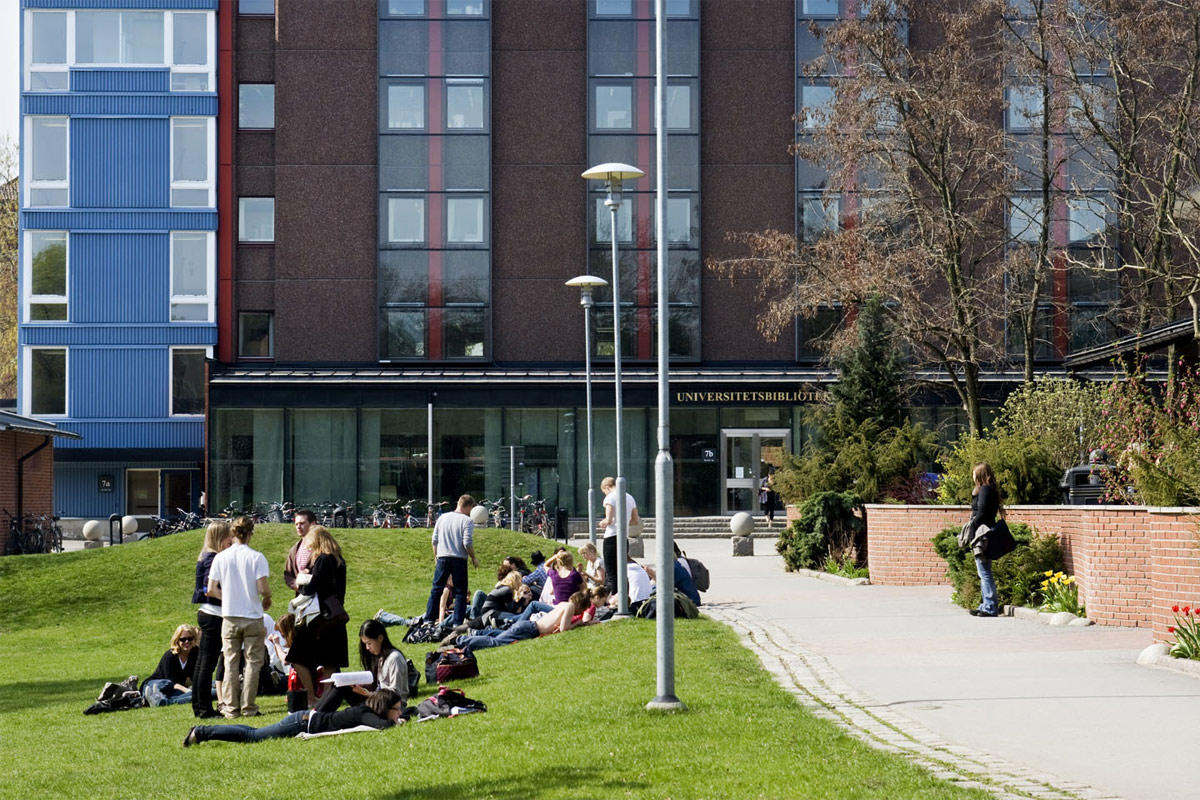 رتبه بندی بهترین دانشگاه های سوئد 2025 + شرایط پذیرش